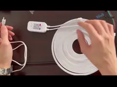 RGBW Silicone Neon Strip Light 12V Color Changeable With Controller