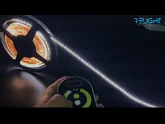 Waterproof Flexible LED Strip Lights SMD2110 Dual Color With Smart Controller