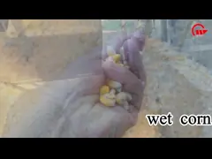 Paddy Grain Dryer Machine 1000T/D 160 Degree Forward Mixed Flow