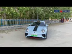 Pure ECO Friendly Electric Cars 150km/H 400KM 47.8kwh 5 Seats