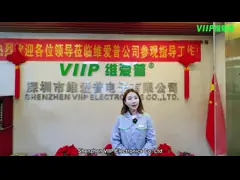 Shenzhen VIIP Electronics Co., Ltd. - EMI Filter Manufacturer