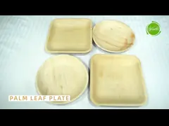 Natural Palm Leaf Plates 8 / 10 Inch Biodegradable Disposable For Food