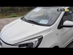 Pure Electric EV Hatchback 4 Seater 101km/h Fast Charging Small