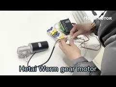 Micro DC Worm Gear Motor 24v 12v 248RPM High Torque For Boat / Car