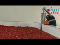 PLC Tomato Processing Line Concentrate Paste SS304 Energy Saving