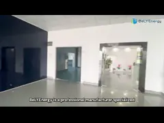 Shenzhen Bely Energy Technology Co., Ltd. - LiFePo4 Battery Factory