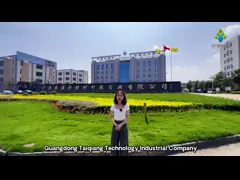 Guangdong Taiqiang Technology Industrial Co., Ltd. - Spray Glue Adhesive Manufacturer