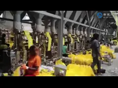 Intermittent Type Washing Powder Production Line 1T/h Simple Operation