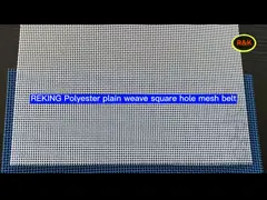 Plain Weave Polyester Mesh Belt 2 / 4mm Square Hole Easy Clean