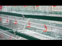 Poultry Farming Chicken Battery Cage 3 / 4 Tiers Hot Galvanized