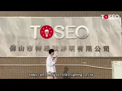 Toseo Lighting Co., Ltd. - LED Downlight Fixtures Manufacturer