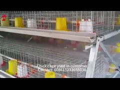 Hot Galvanized Chick Brooder Cage 192 Birds 1.2m Length Automatic