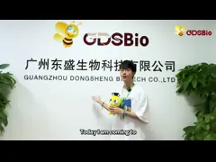 Guangzhou Dongsheng Biotech Co., Ltd. - PCR Master Mix Factory