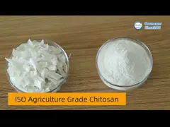 Chitin Chitosan Powder Plant Extract Water Soluble CAS 9012 76 4