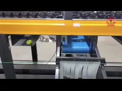 Intelligent Fruit Sorting Machine Single Channel High Output For Tangerine