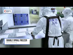 Iqf Double Spiral Freezer 1000kgs/H Quick Freezing High Efficient