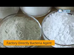 Anaerobic Bacterial Agents 10 Billion /G High Effective For Water Treatment
