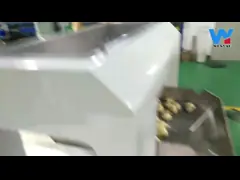 CCD Vegetable Sorting Machine 448 Channels For Unpeeled Garlic