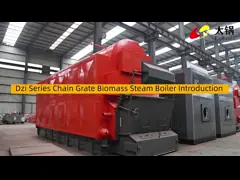 Steam Gas Oil Boiler 1 Ton Chain Grate Coal / Biomass High Capacity