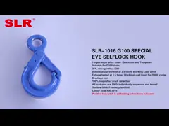 Forged Rigging Hardware Hook Self Locking Alloy Steel Special Eye