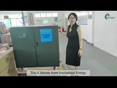 ESS Energy Storage Cabinet 30W 60kW Waterproof With Lithium Ion Phosphate Battery