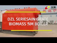 Chain Grate Gas Oil Boiler Biomass Steam High Safety Horizontal