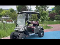 Electric 2 Seater Golf Cart 48V 5KW New Energy Lead Acid Battery