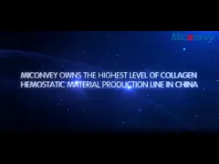 Miconvey Technologies Co., Ltd. - Medical Endoscopy Instruments Manufacturer