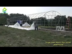 Single Layer Poly Tunnel Greenhouse Plastic Film Metal Frame For Broccoli
