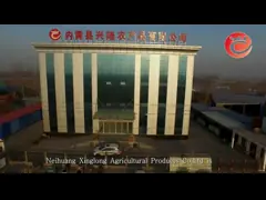 Sun Dried Crushed Chilli Peppers Low Impurity Sterilized For Seasoning