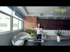 Shenzhen YaBo Power Technology Co., Ltd. - Lifepo4 Battery Factory