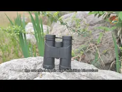 Outdoor Binoculars Telescope 10 X 42 FMC Lens High Definition