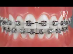 Thin Zirconia Dental Crown Natural Realistic Good Hardness For Restoration