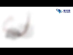 Micro Stepping Permanent Magnet Stepper Motor 4 Phase 0.5A Small