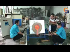 Precision Control Induction Melting Machine For Gold Platinum Palladium