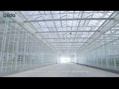 Hydroponic Greenhouse Double Roof Automated Agriculture Tomato