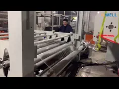 Plastic Cast Film Extrusion Line Transparent TPU Single Screw High Output