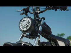 Lithium Battery Ridstar Electric Bike Bicycle 7 Speed 20 Inch 1000W 25MPH