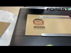 Digital Corrugated Inkjet Printer CMYK Colors Single Pass High Speed
