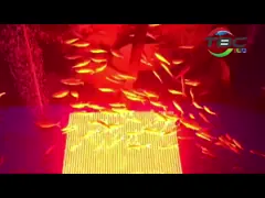 Waterproof Outdoor LED Billboard SMD 6000nits P10mm IP68 High Brightness
