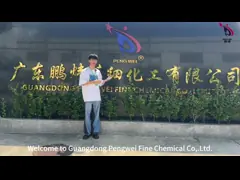 Guangdong Peng Wei Fine Chemical Co., Limited - Hair Color Sprays Aerosols Manufacturer