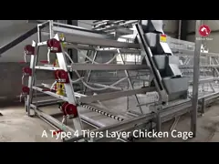 Cold Galvanized Steel Layer Chicken Cage A Type 4 Tiers For Poultry Farm