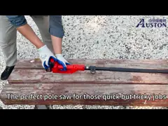 High Reach Long Pole Chainsaw 800W 8 Inch Cordless For Pruning
