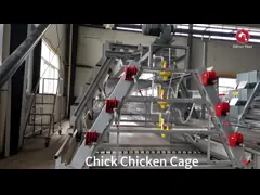 Battery Pullet Baby Chick Cage Q235 3 / 4 Tiers A Type Automatic