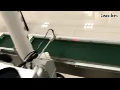 CO2 Laser Industrial Inkjet Printer 60W High Speed Accurate Marking