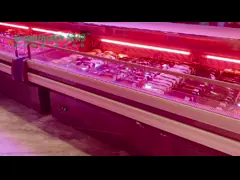 Multideck Open Commercial Display Freezer Dynamic Cooling R22 / R404a
