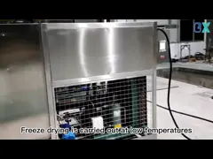 Stainless Steel Vacuum Freeze Drying Machine 100L 200L Pharmaceutical