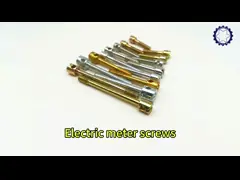 Sealing Electric Meter Screws Phillips DIN404 Cylindrical Head