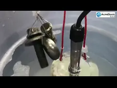 Stainless Steel Immersible Ultrasonic Cleaner Machine 40KHz For Rust