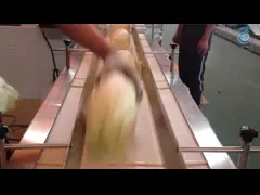 Stainless Steel Horizontal Flow Pack Machine 120 Bags / Min For Vegetable / Fruits